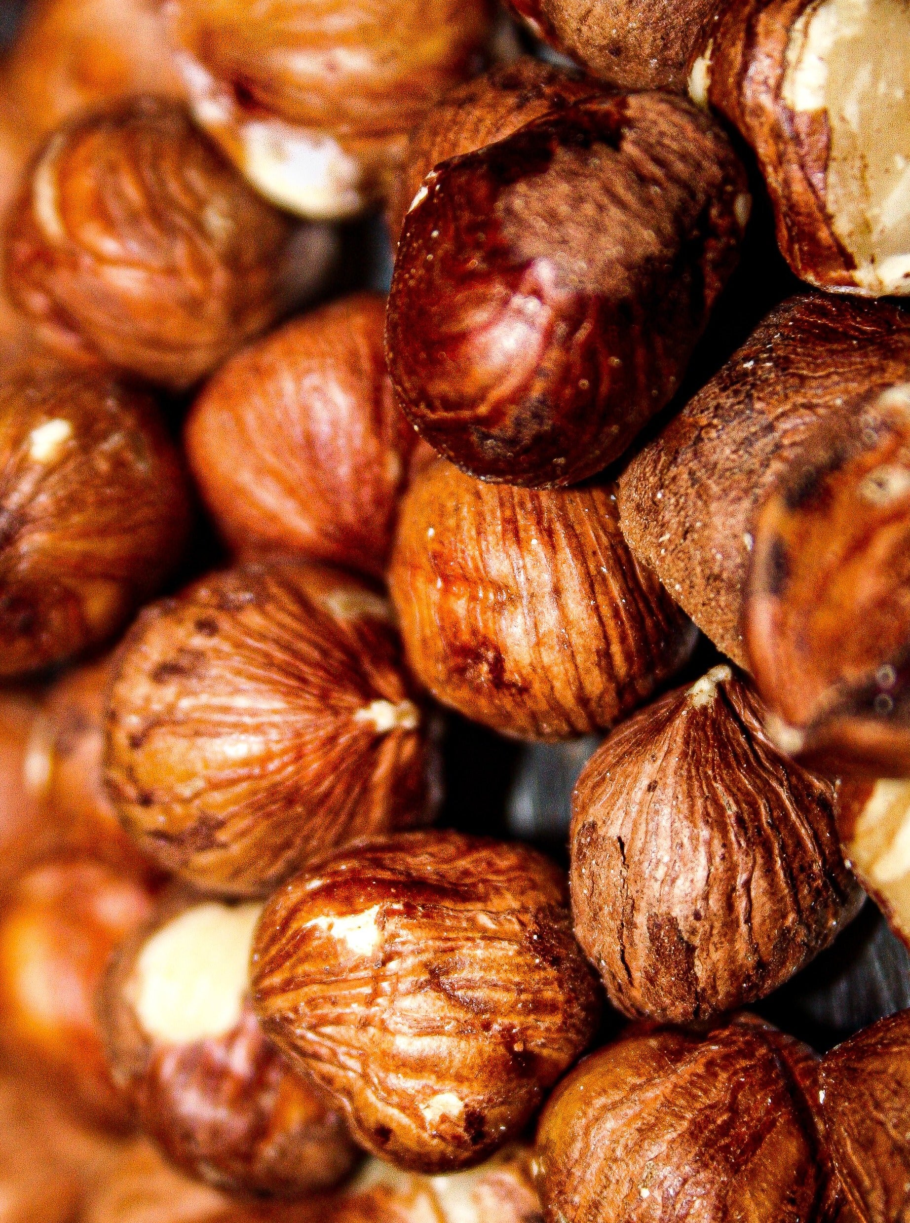 Hazelnuts (Filberts) Unblanched (RAW) | Hillson Nut Company